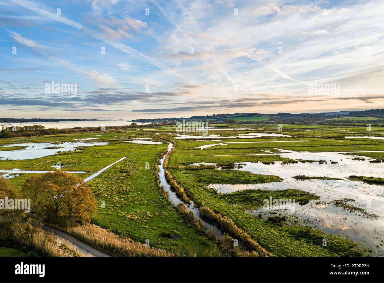 Rspb exminster hi-res stock photography and images - Alamy