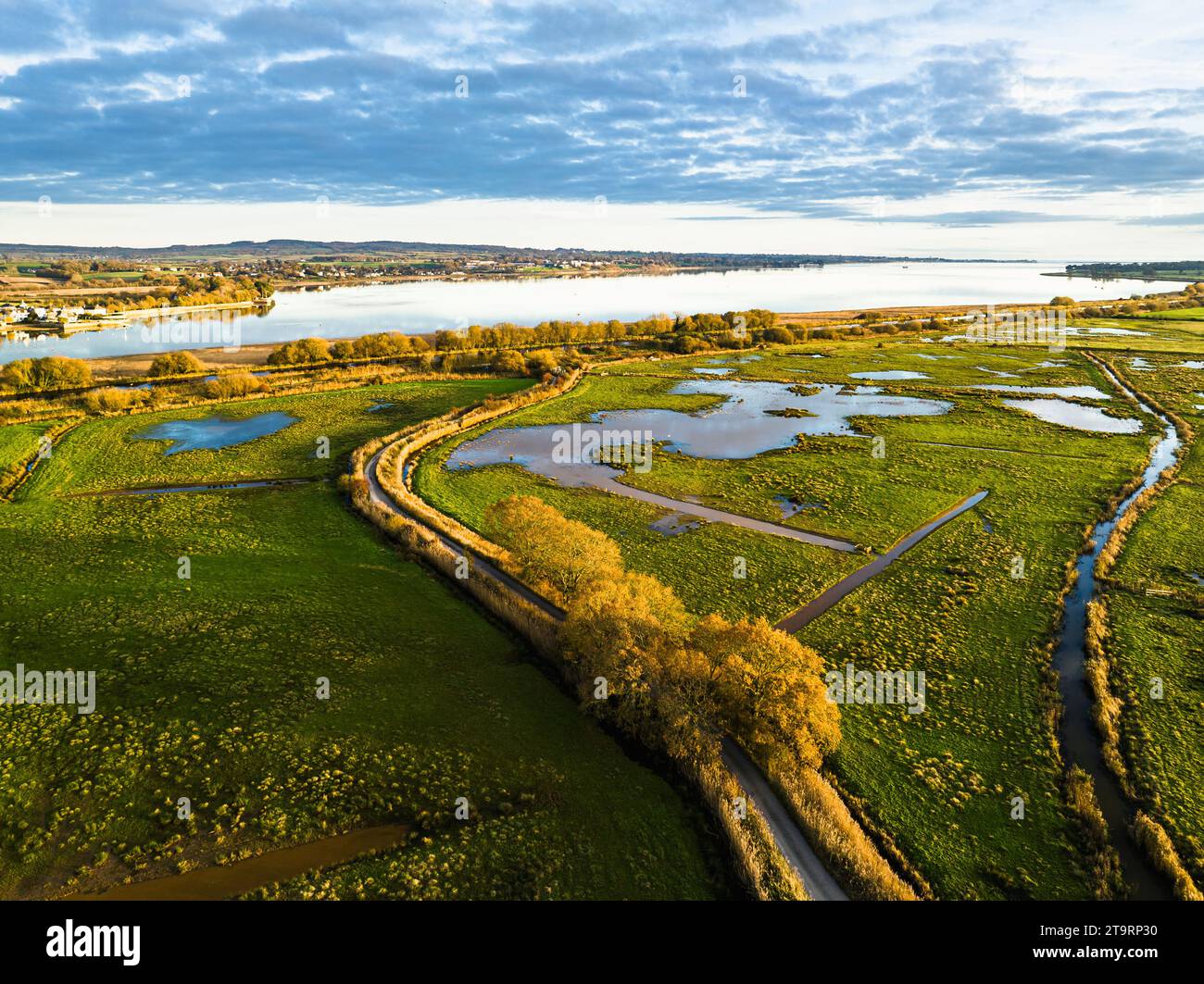 Exminster and powderham marshes hi-res stock photography and images - Alamy