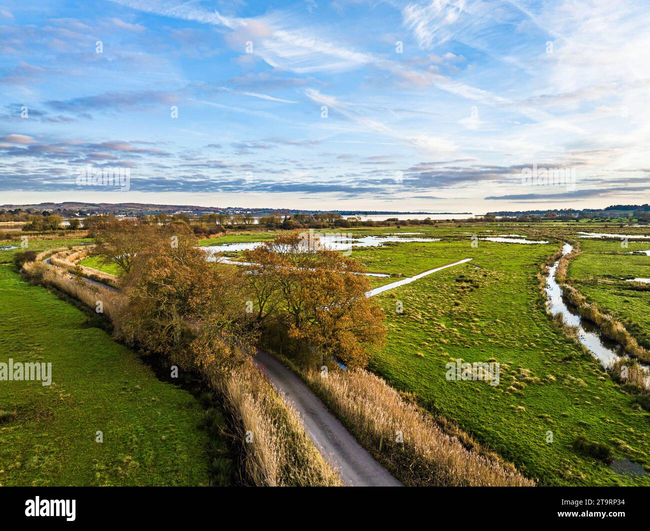 Wetlands and Marshes in RSPB Exminster and Powderham Marshe from a ...