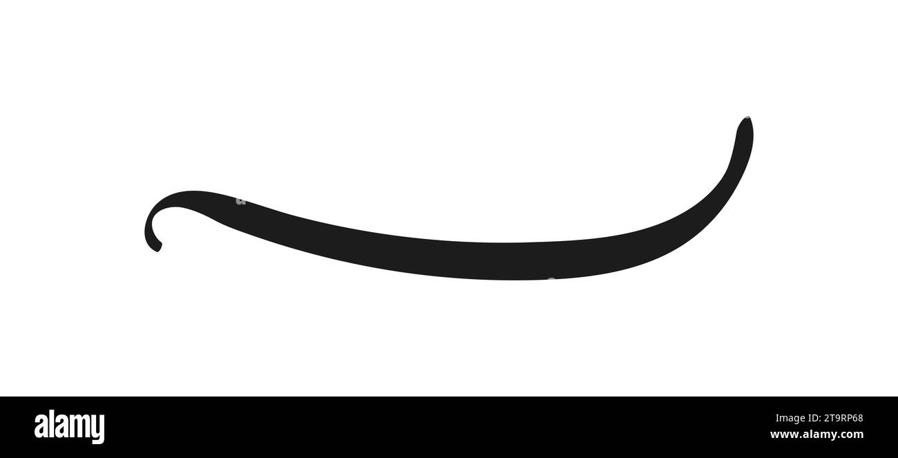 Swoosh and swoops underline typography tail shape. Brush drawn thick ...