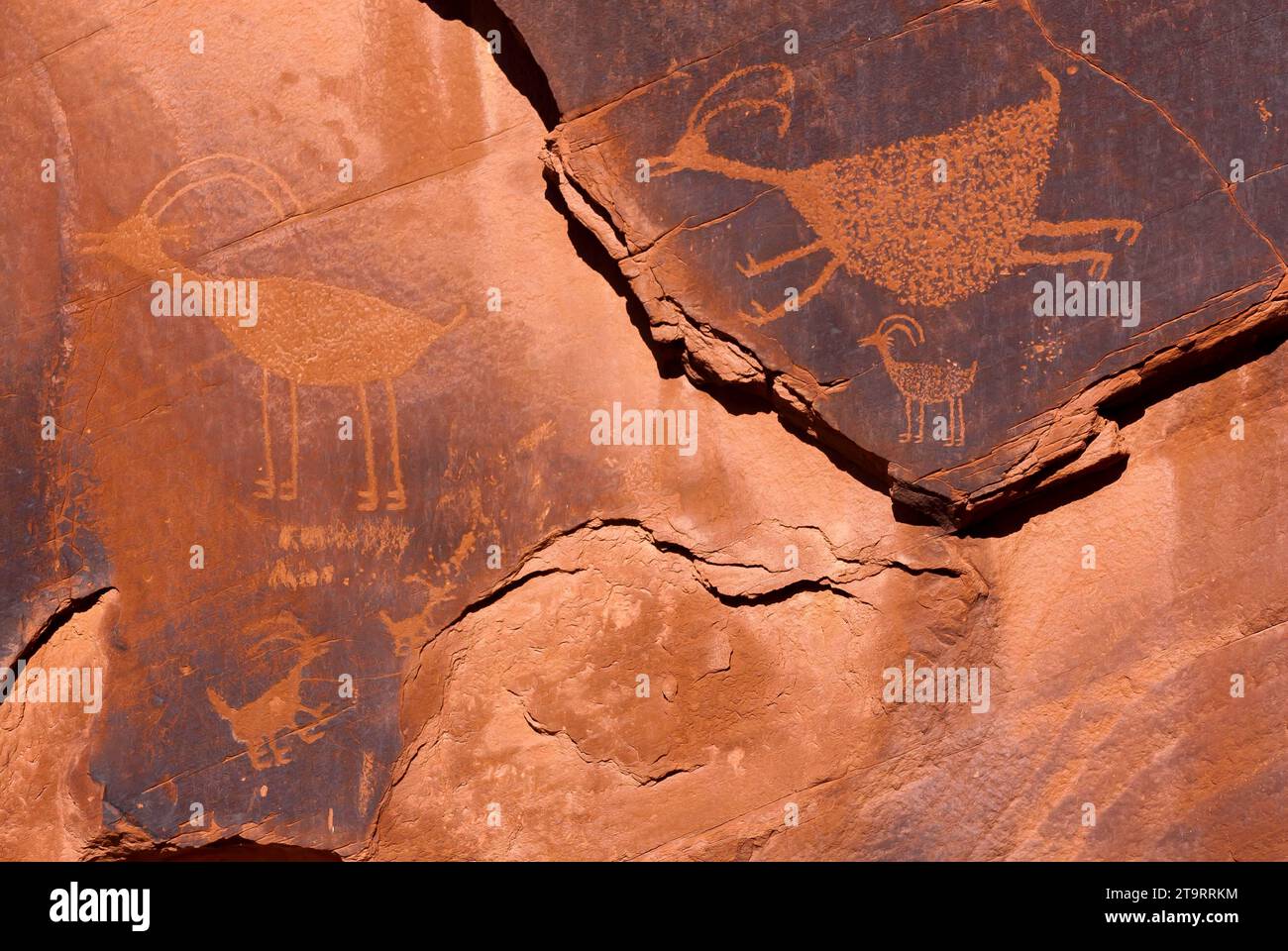 Petroglyph-Indian stone carving, rock carving, Indians, indigenous ...