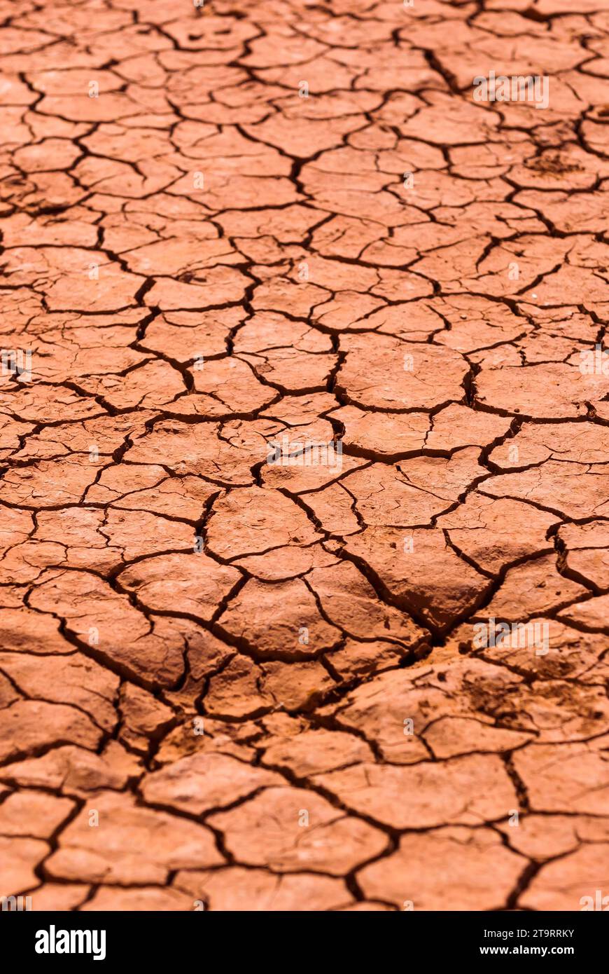 Parched soil due to drought, heat, dryness, climate, climate change ...