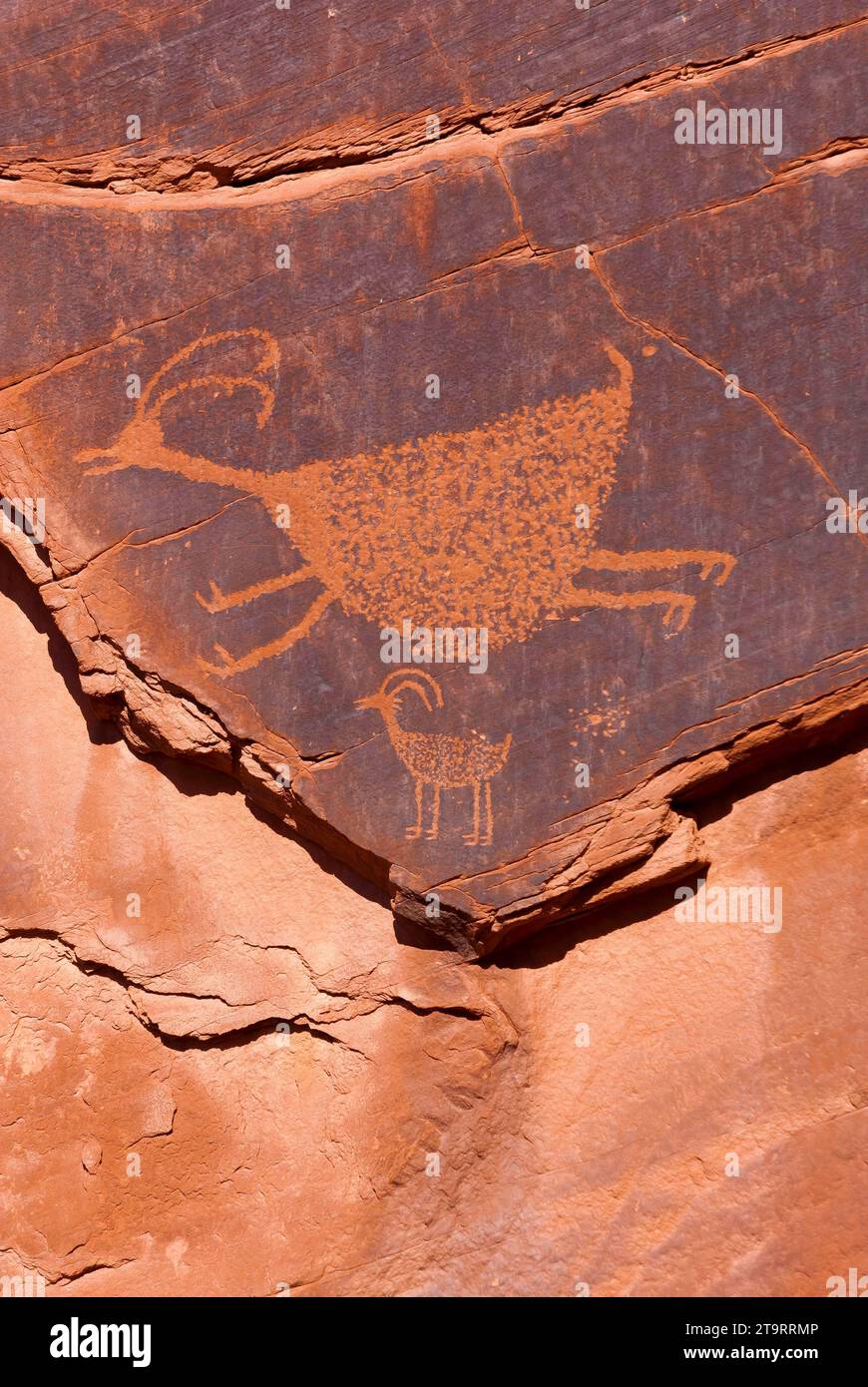 Petroglyph-Indian stone carving, rock carving, Indians, indigenous ...