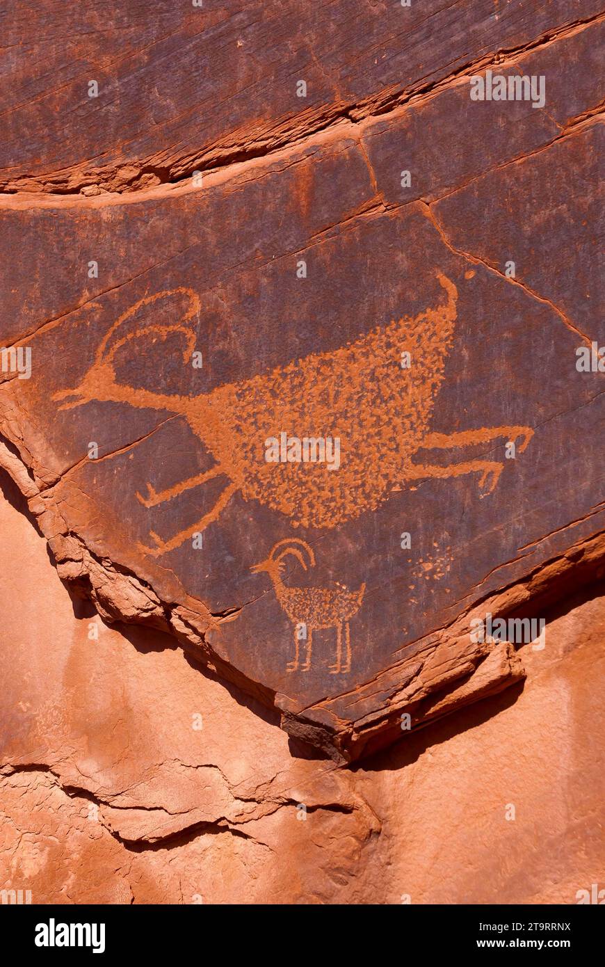 Petroglyph-Indian stone carving, rock carving, Indians, indigenous ...