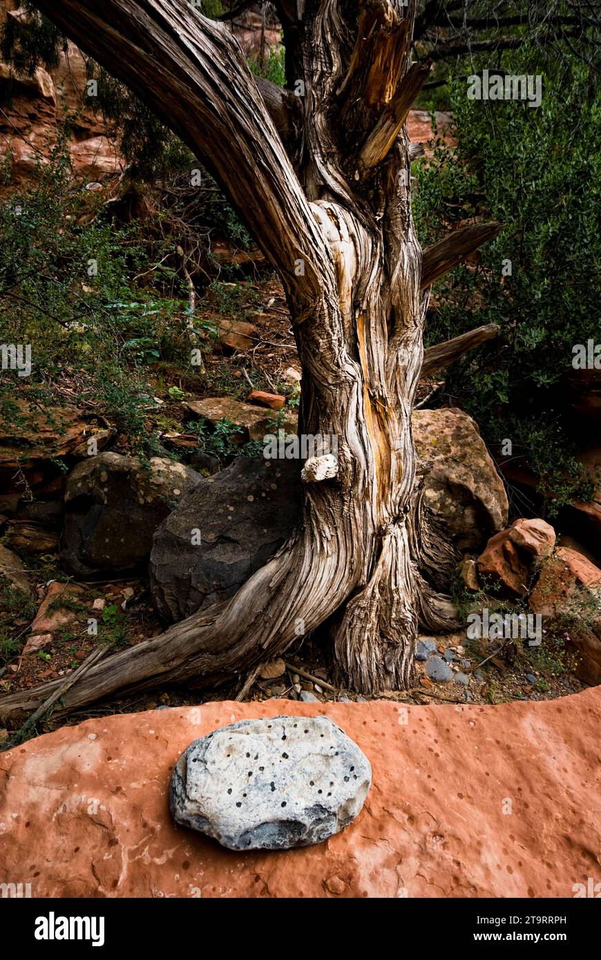 Natural objects hi-res stock photography and images - Alamy