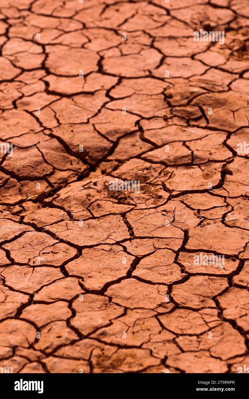 Parched soil due to drought, heat, dryness, climate, climate change ...