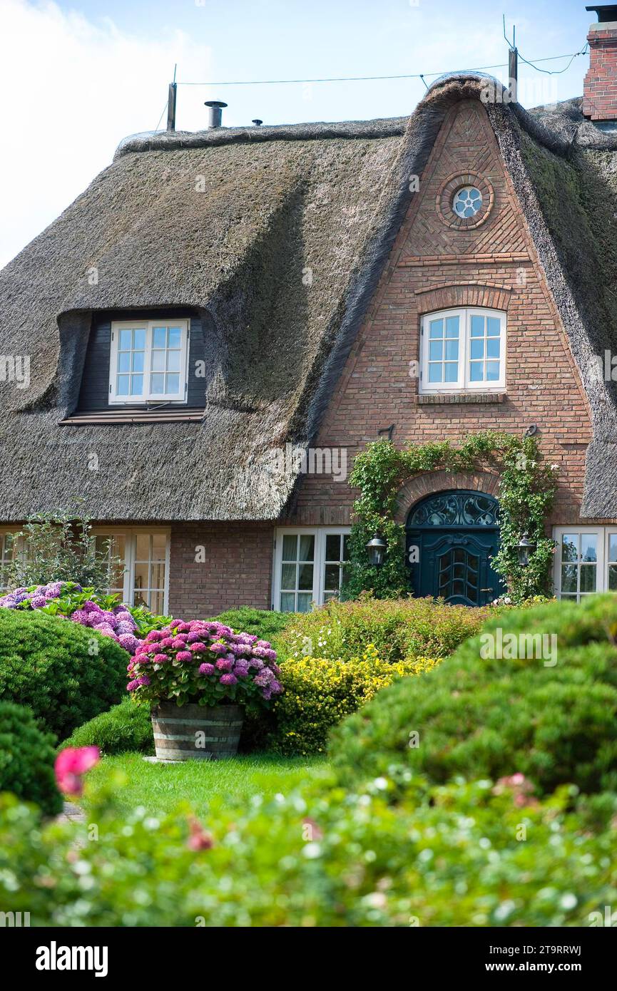 Invest island hi-res stock photography and images - Alamy