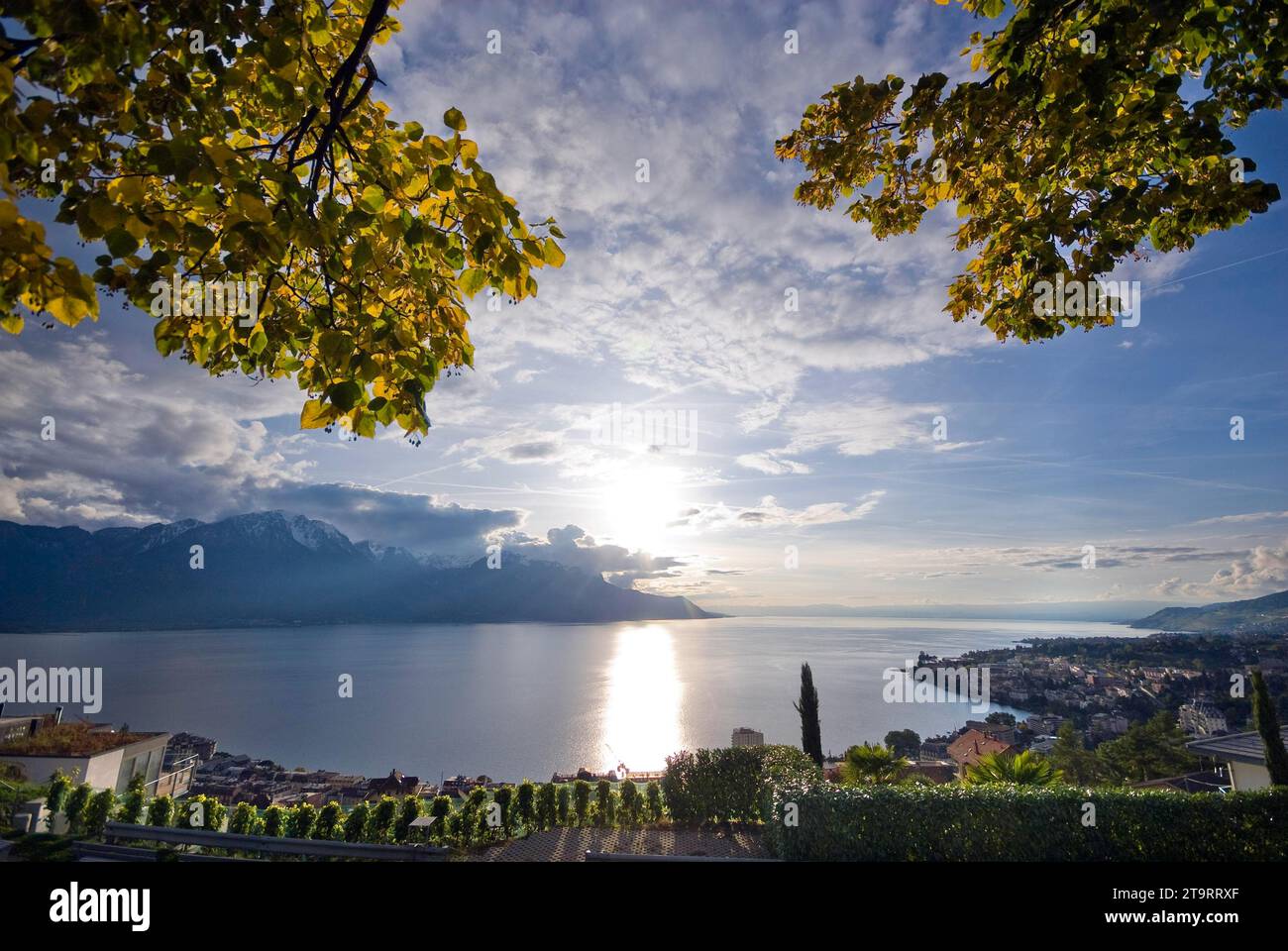 Montreux with Lake Geneva, Alps, Backlight, Vaud, Switzerland Stock ...