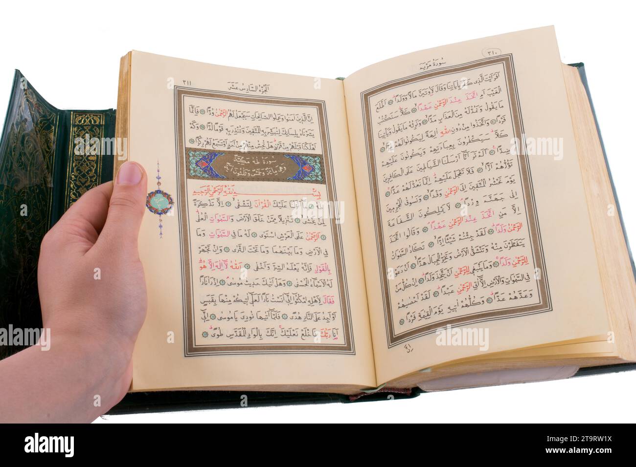 Hand holding The Holy Quran on a white background Stock Photo - Alamy