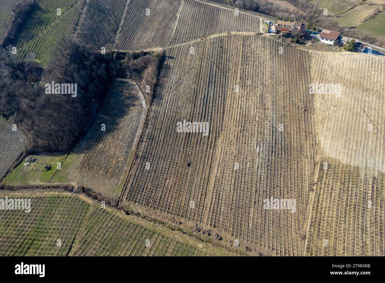 aerial drone photo crawled tractor working through wine yards rows ...