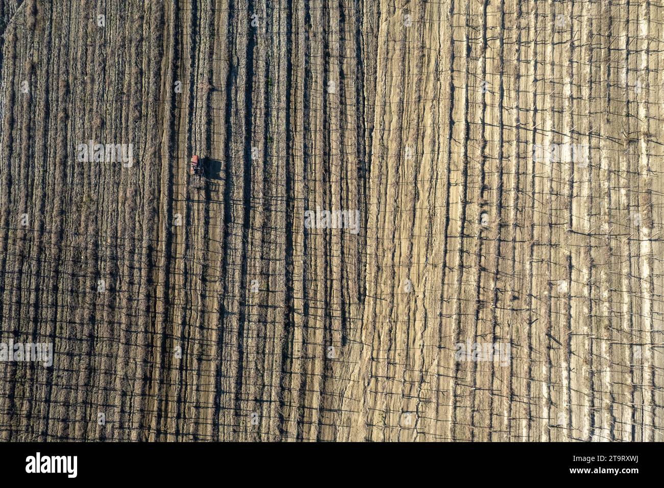 aerial drone photo crawled tractor working through wine yards rows ...