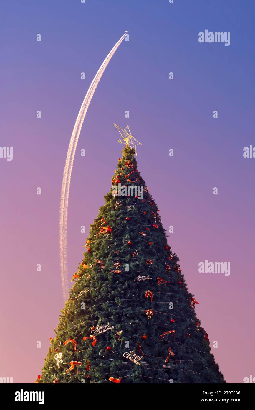 Christmas tree flight hi-res stock photography and images - Alamy