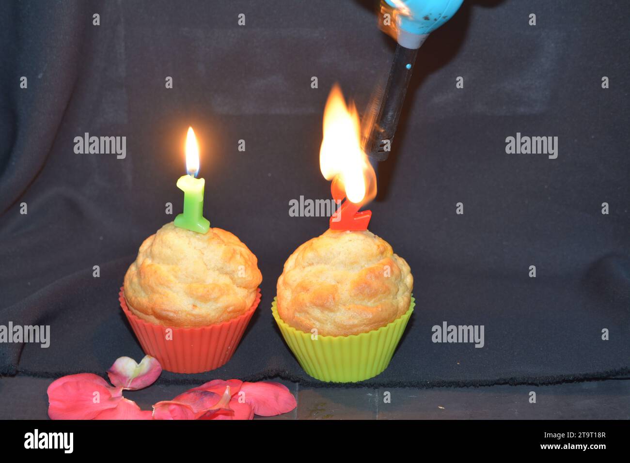 Colorful cupcakes with number 12 burning candles pink flower petals in ...