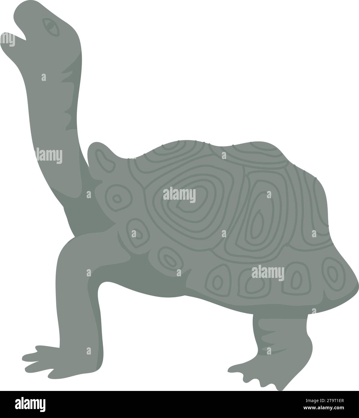 The galapagos islands, ecuador Stock Vector Images - Alamy