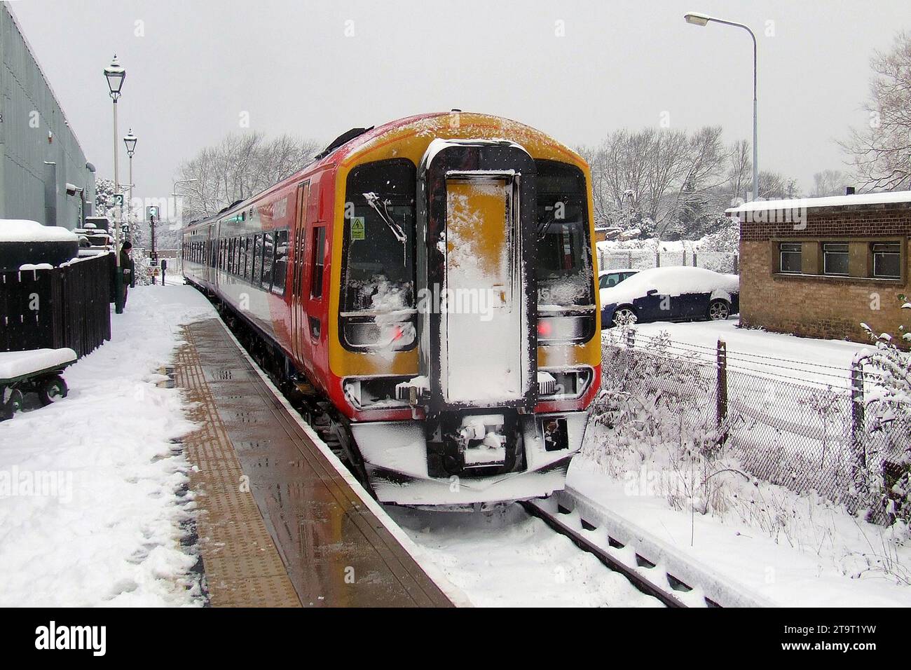 New Forest 2010 following a snowfall. Landscapes, ponies, cattle, pigs ...