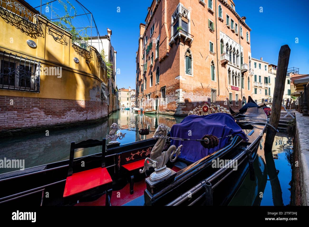 Venice gondola horse hi-res stock photography and images - Alamy