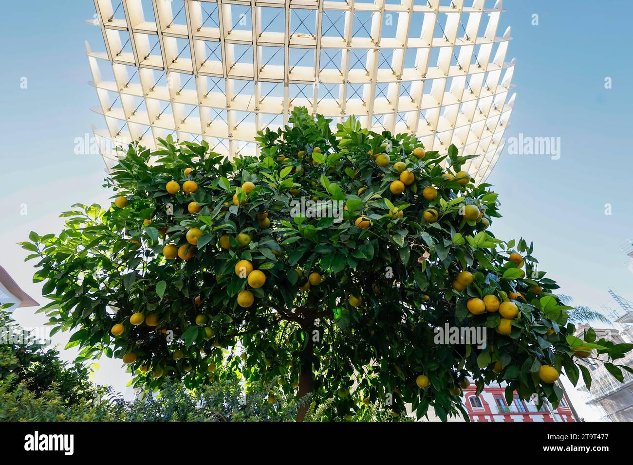Metropol parasol wooden construction hi-res stock photography and ...