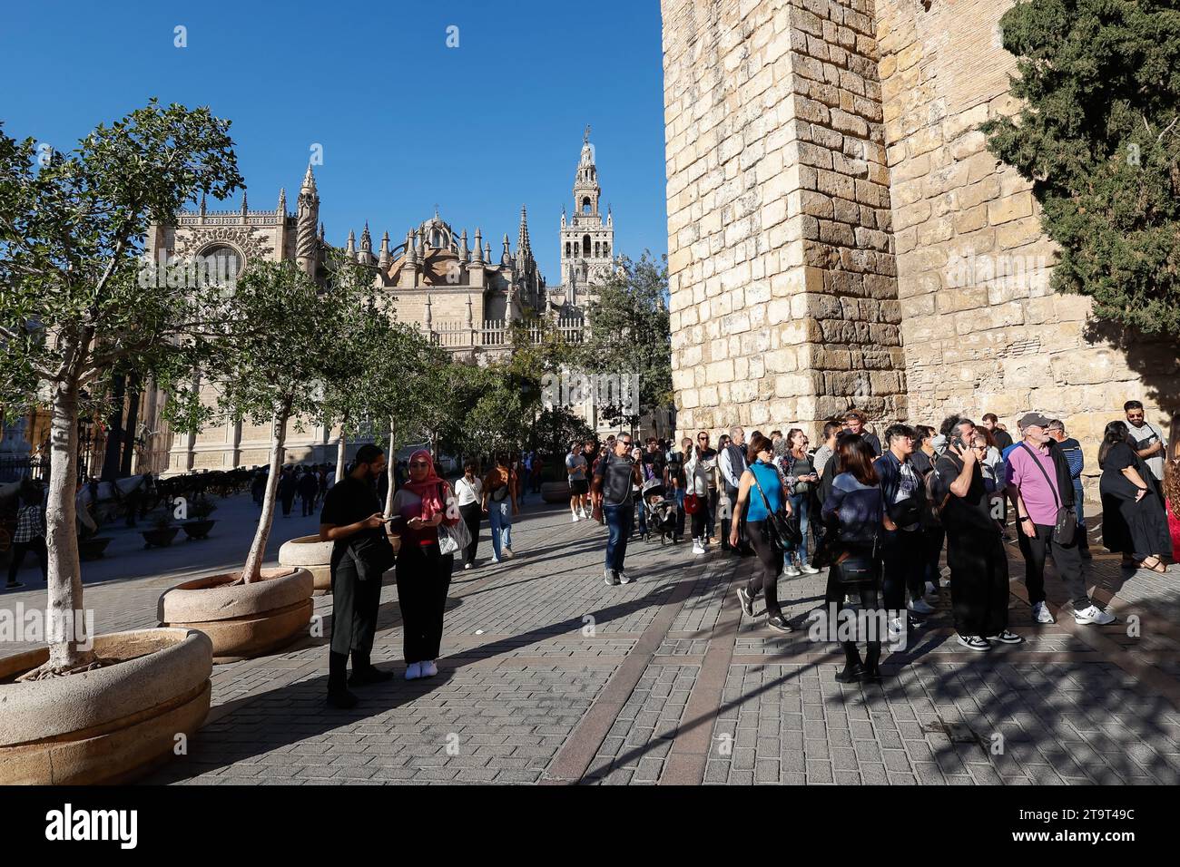 Royal alcazar of seville hi-res stock photography and images - Alamy
