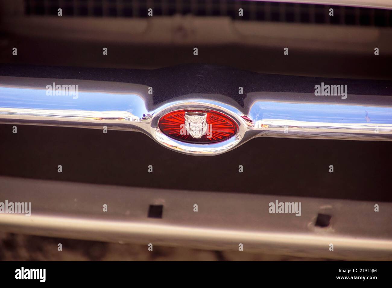 éléments de voiture ancienne et de collection / vintage and classic car ...