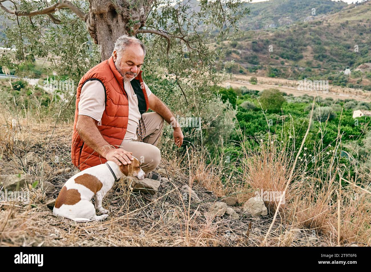 Mature gray haired man spending time outdoors with his small cute Jack ...