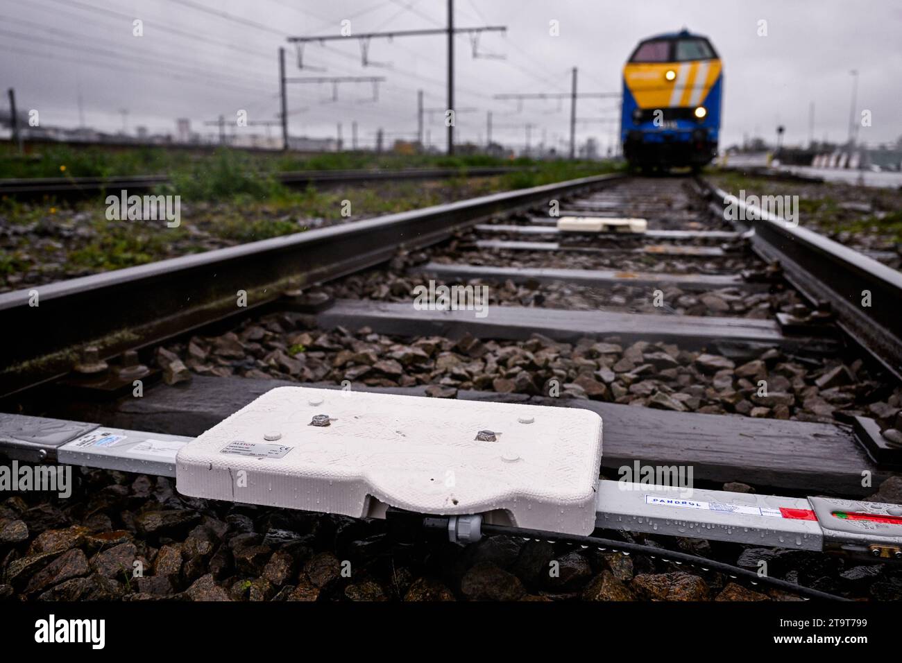 Brussels, Belgium. 27th Nov, 2023. Illustration picture shows the ...