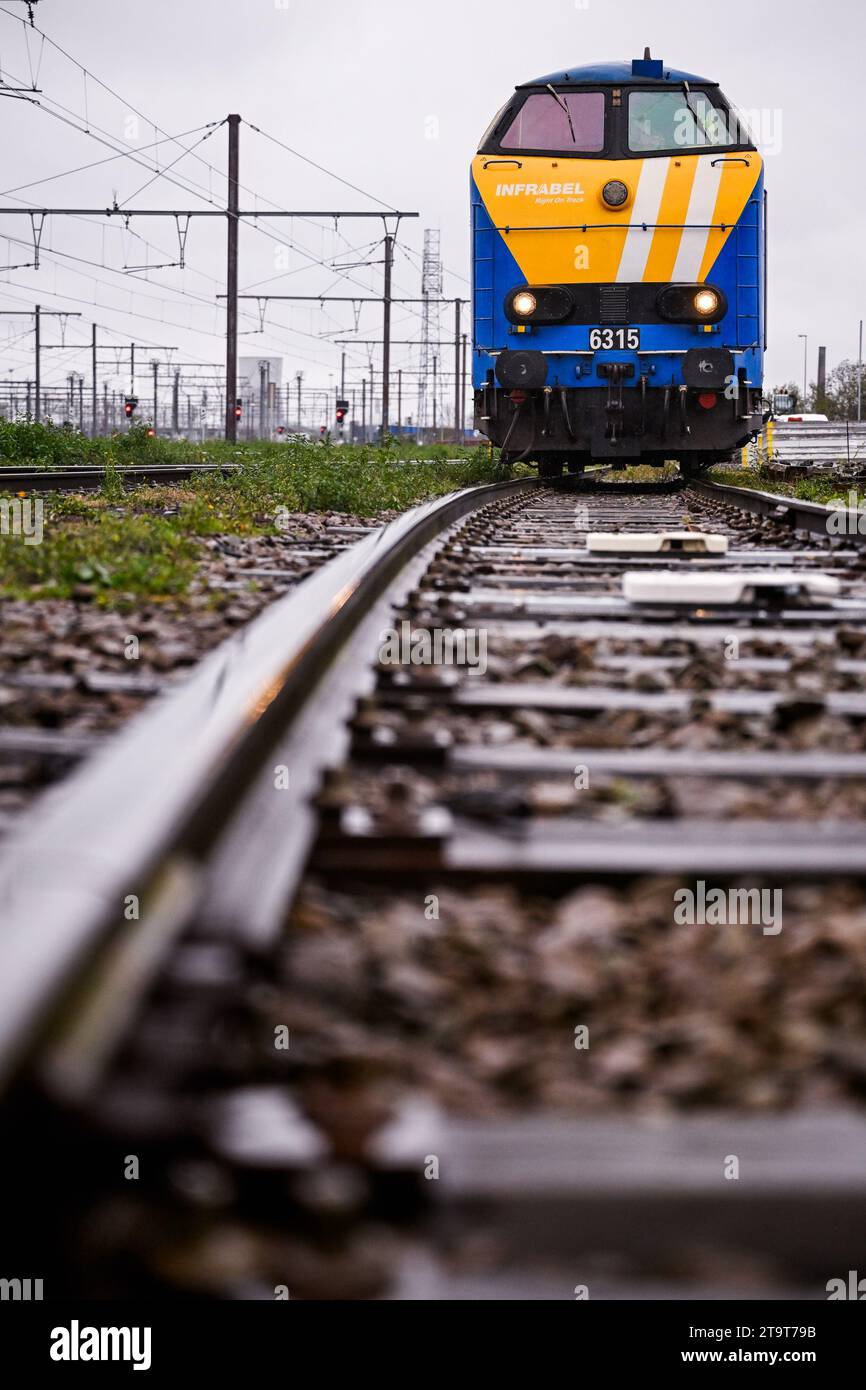 Brussels, Belgium. 27th Nov, 2023. Illustration picture shows the ...
