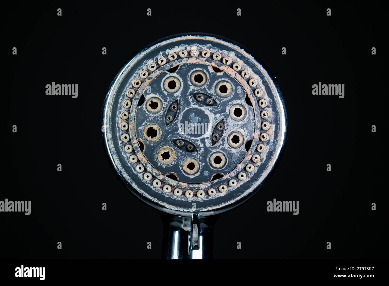 Hard Water Calcium Or Lime Scale Deposits On Old Worn Out Shower Head