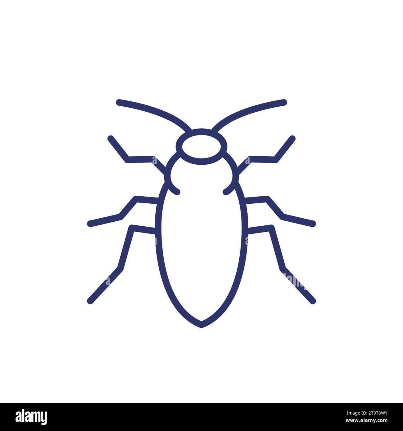 Cockroach insect over white hi-res stock photography and images - Alamy