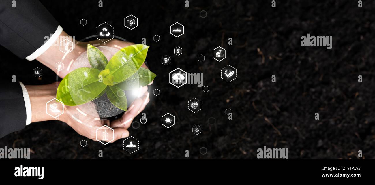 Business investment in reforestation, businessman growing young ...