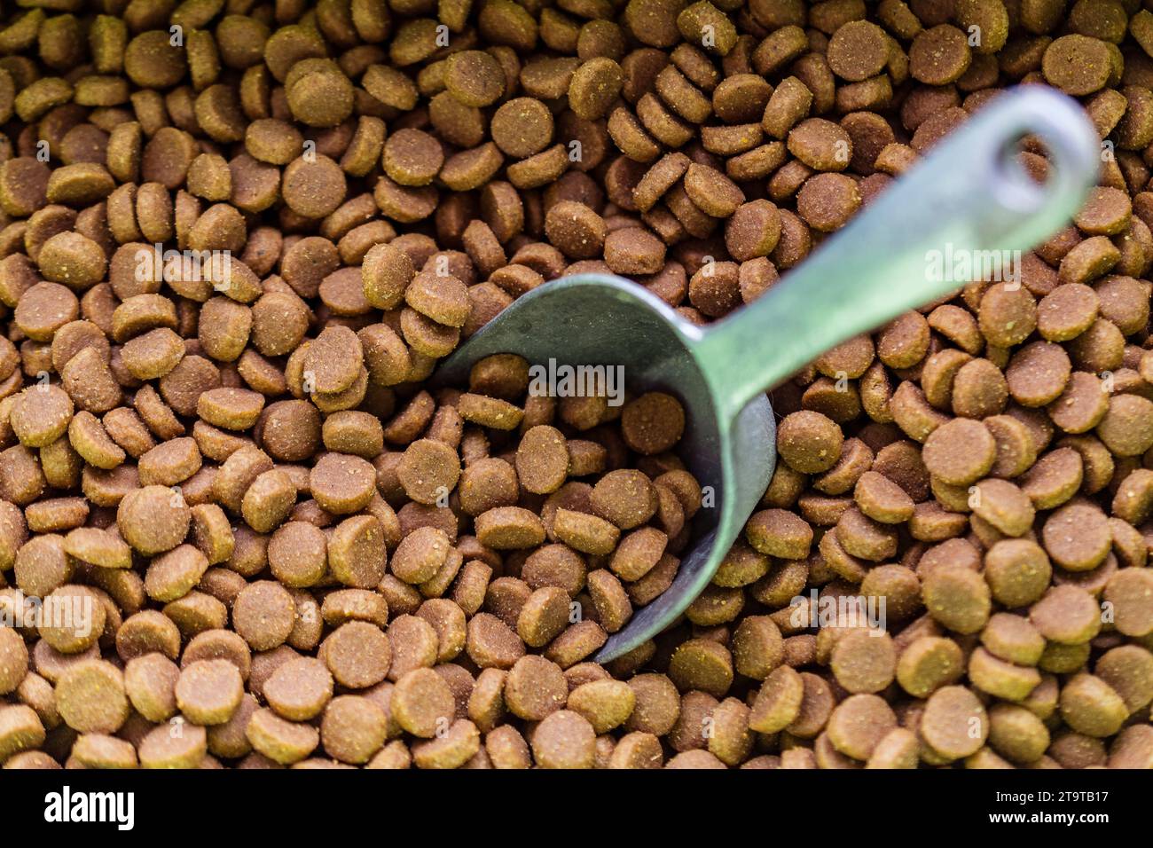 Pet food with shovel for serving. animal food Stock Photo - Alamy