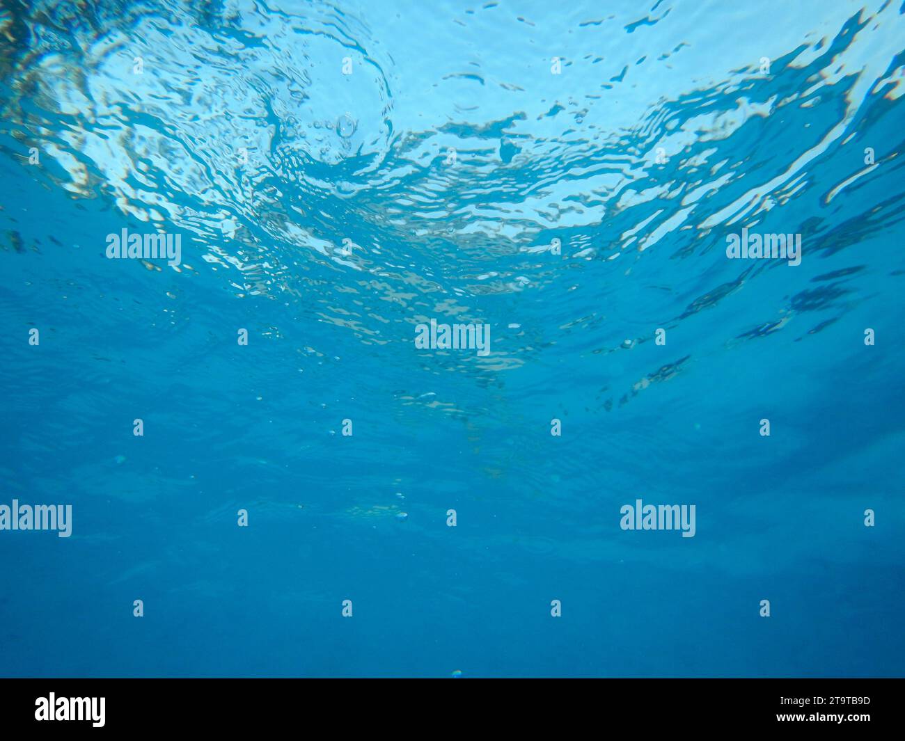 Kid swimming pool underwater hi-res stock photography and images - Alamy