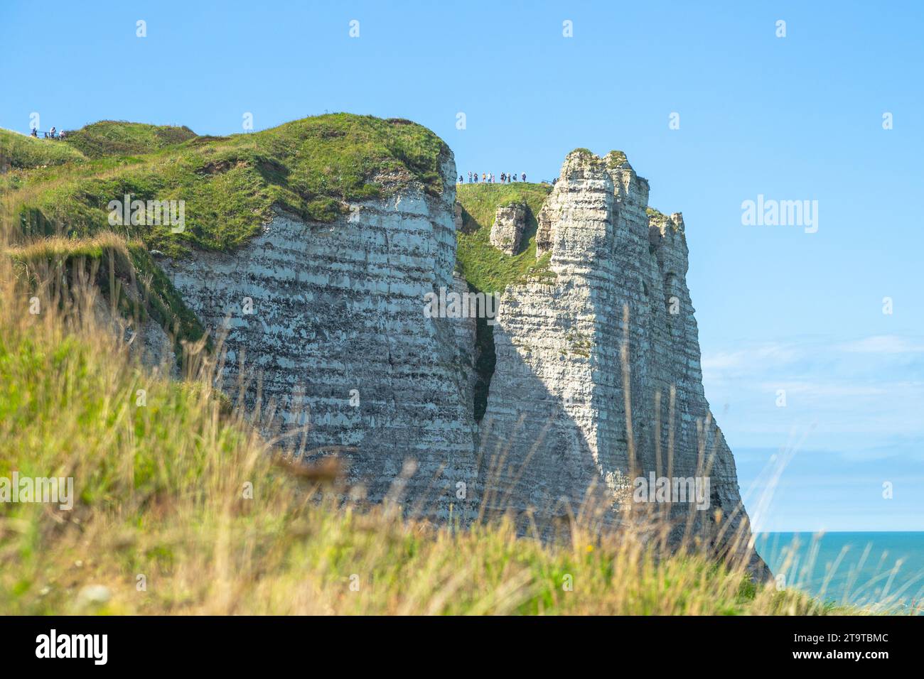 look up angel of a white towering sea cliff with grass covering the top ...