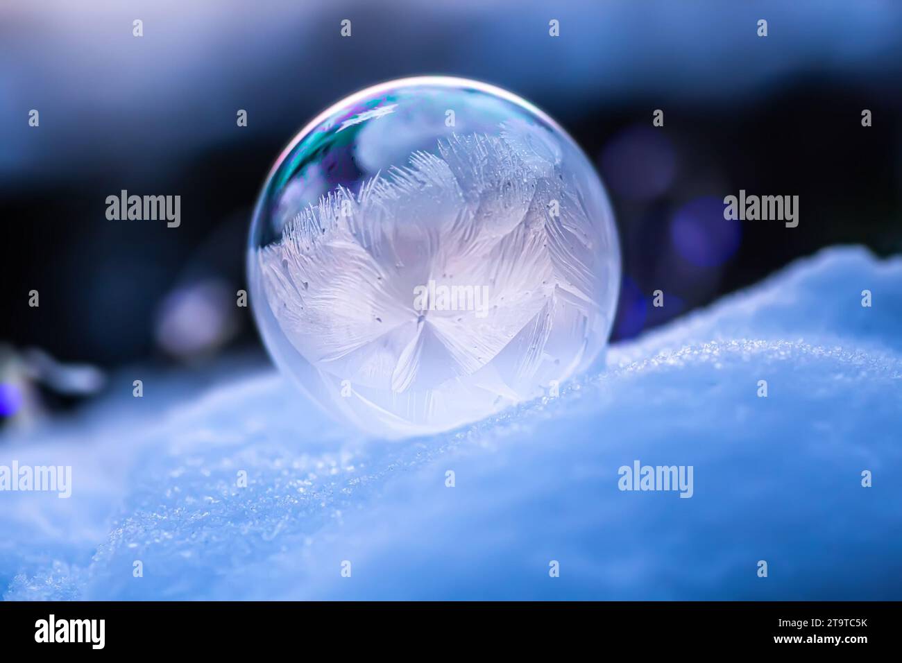 Frozen soap bubble in the snow on a frosty day Stock Photo - Alamy