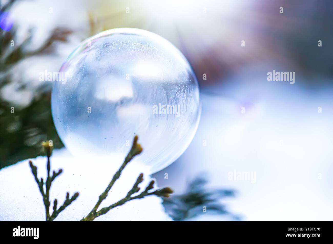 Frozen soap ball on tree branch with frosty texture on it Stock Photo ...