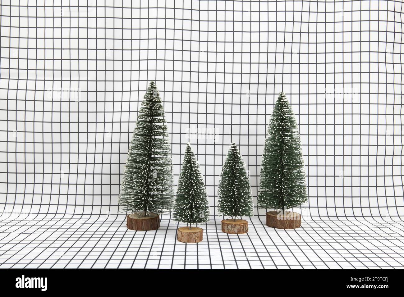 a miniature forest scene composed of several small christmas trees on a ...