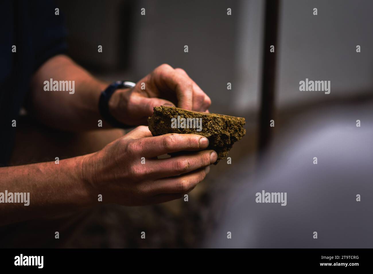 A man holding a piece of land Stock Photo - Alamy