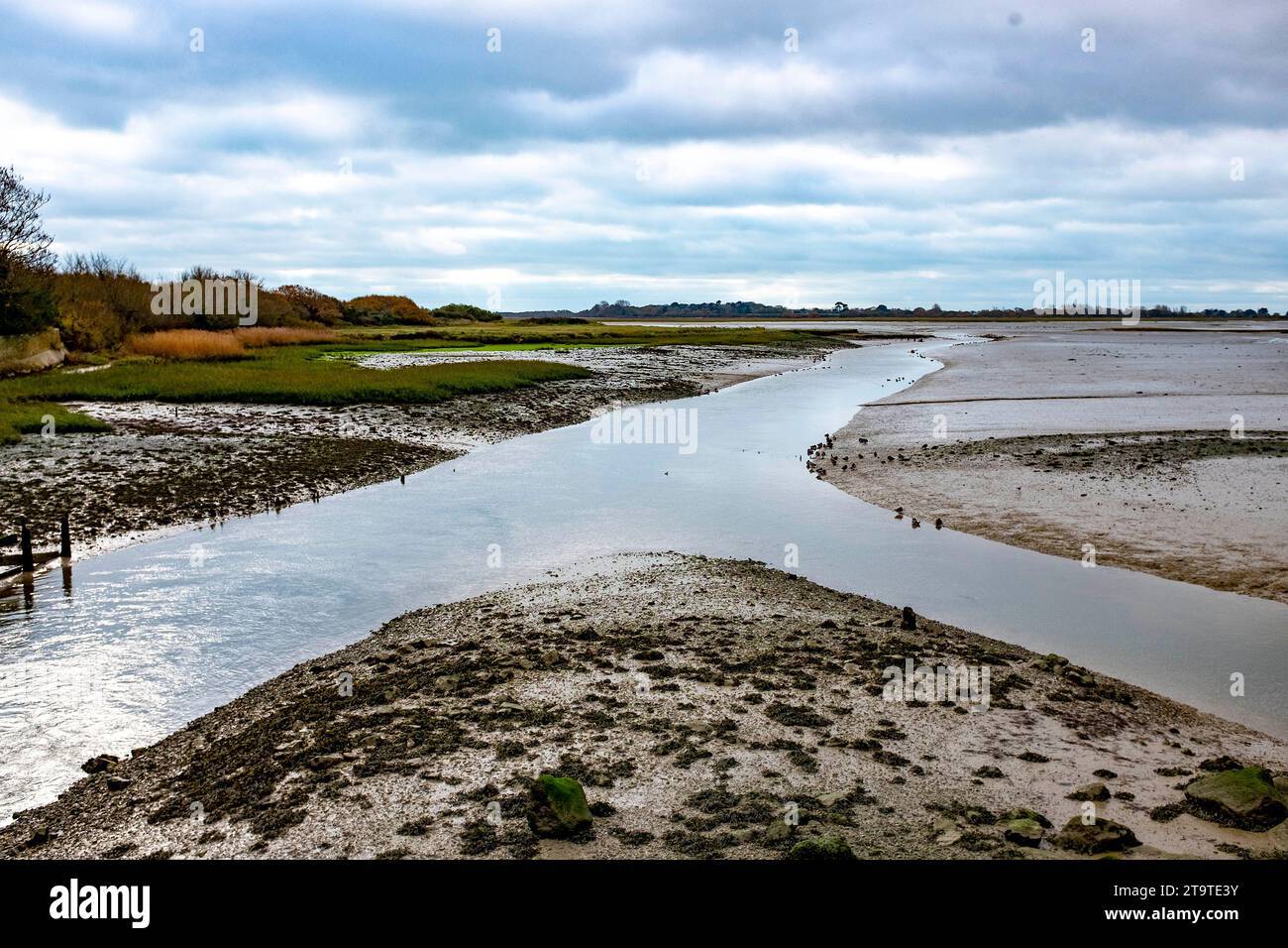 Pagham Harbour RSPB nature reserve at low tide on an Autumn afternoon ...