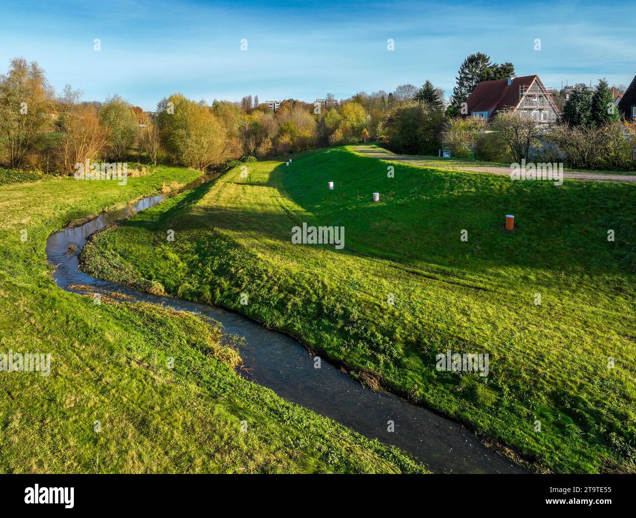 Flora watercours hi-res stock photography and images - Alamy