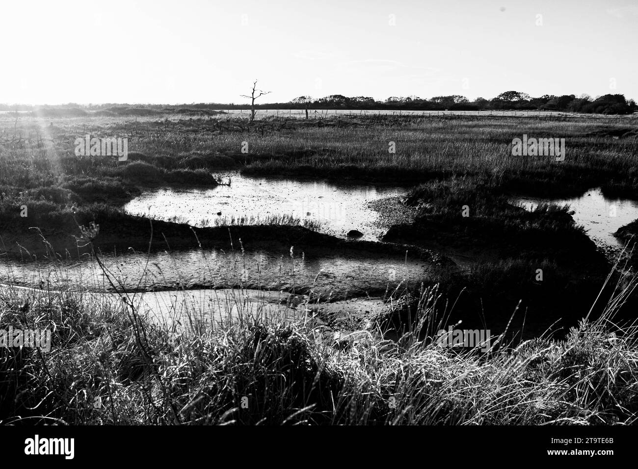 Pagham Harbour RSPB nature reserve at low tide on an Autumn afternoon ...