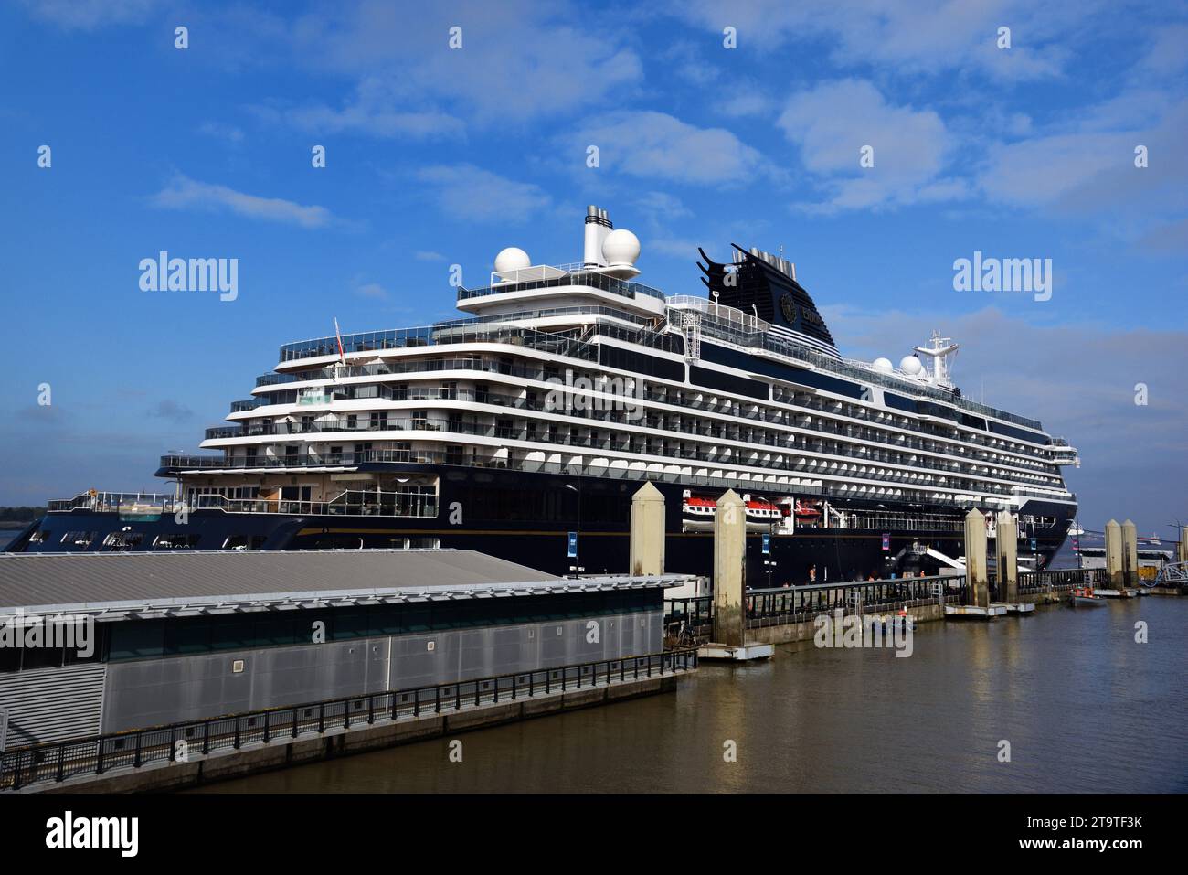 Msc world europa hi-res stock photography and images - Alamy