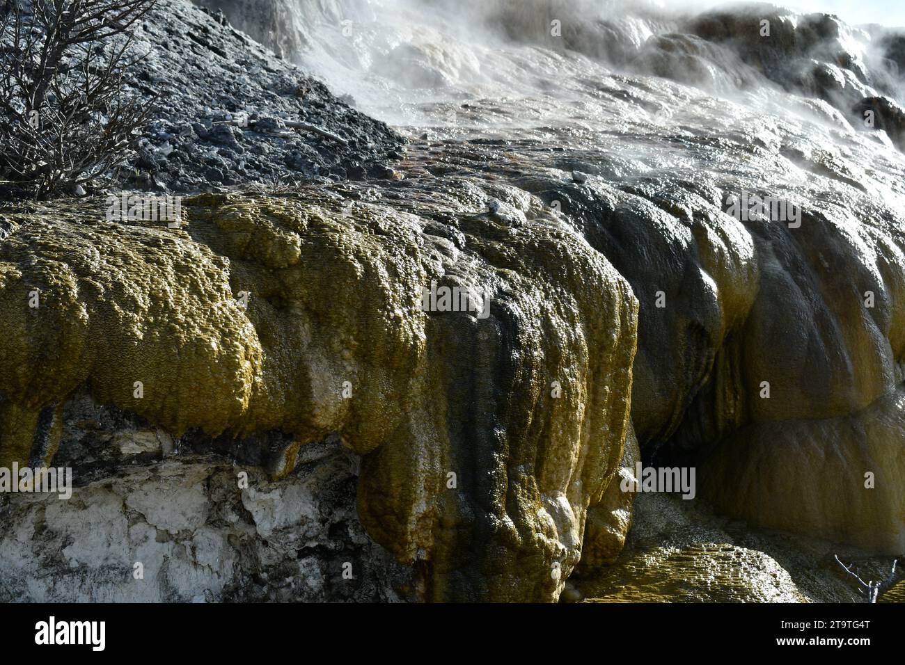Yellowstone natural park geyser Stock Photo - Alamy