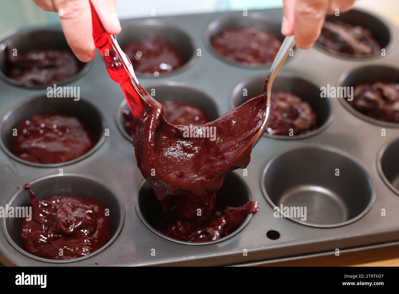 Women puts Chocolate muffin mix into the backing tray Stock Photo - Alamy
