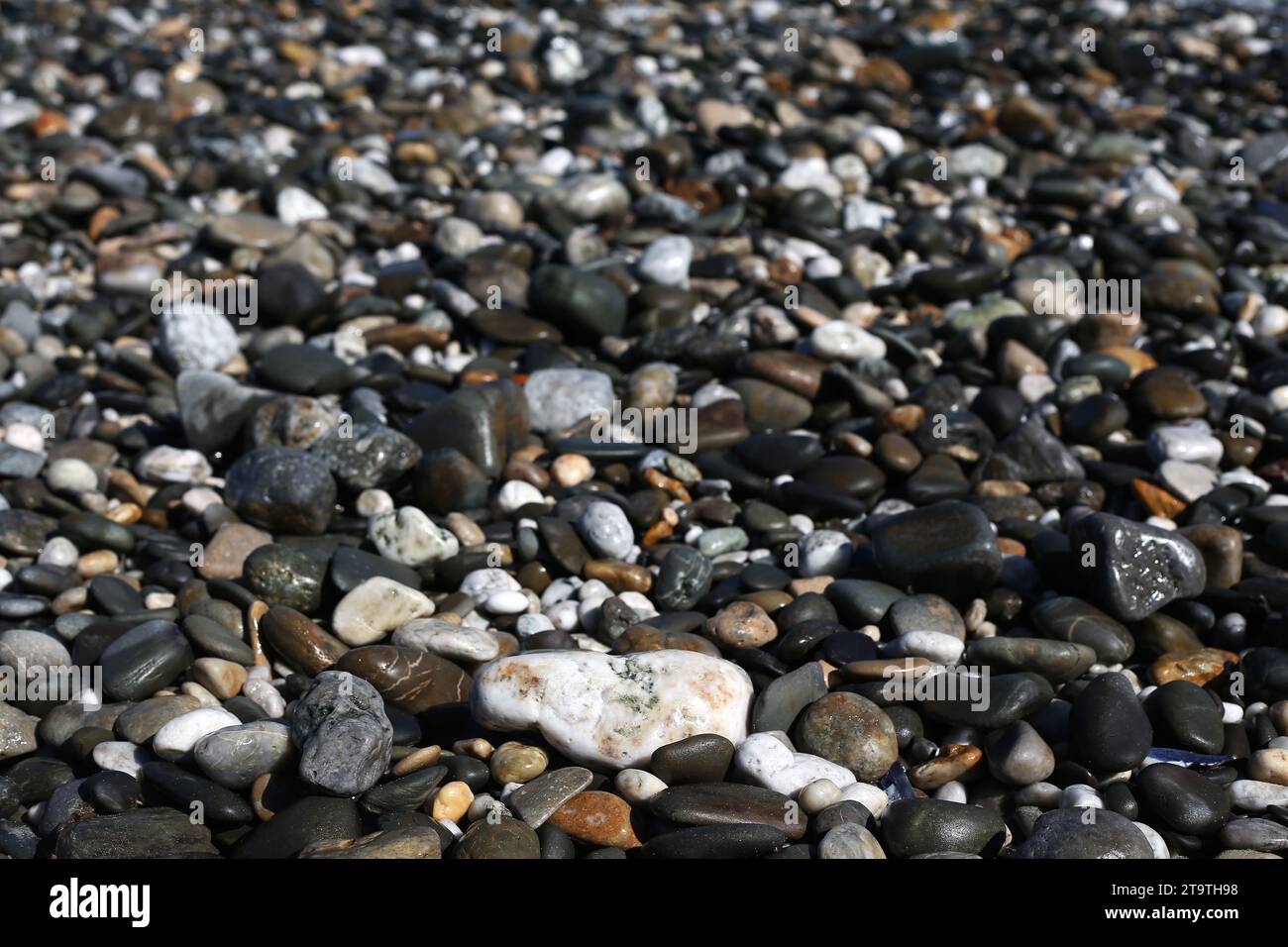 A close-up view of pebbles at Sunset Beach in Cape Town, South Africa ...