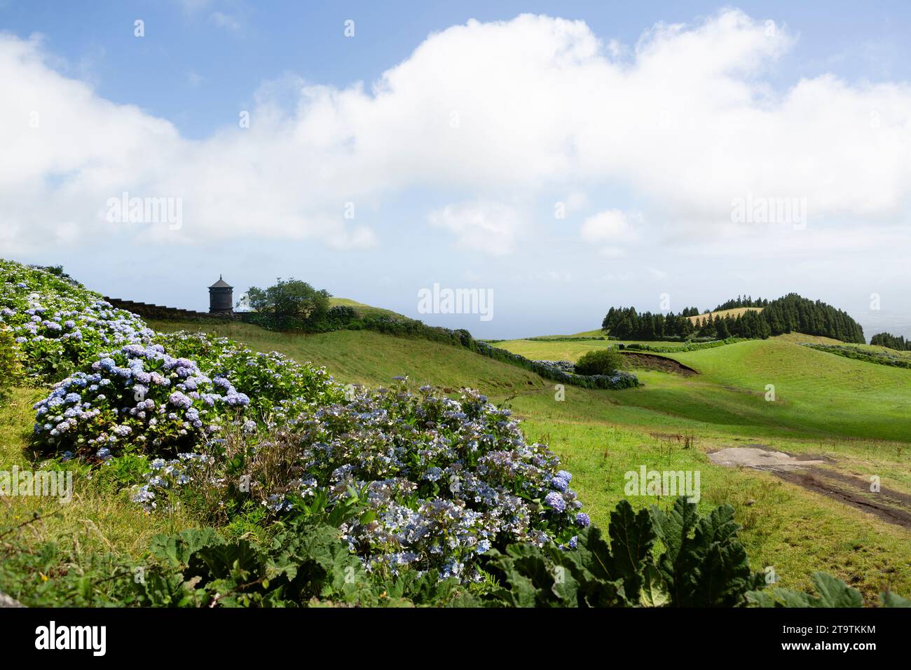 Capturing the Breathtaking Beauty of the Azores, Portugal: An ...