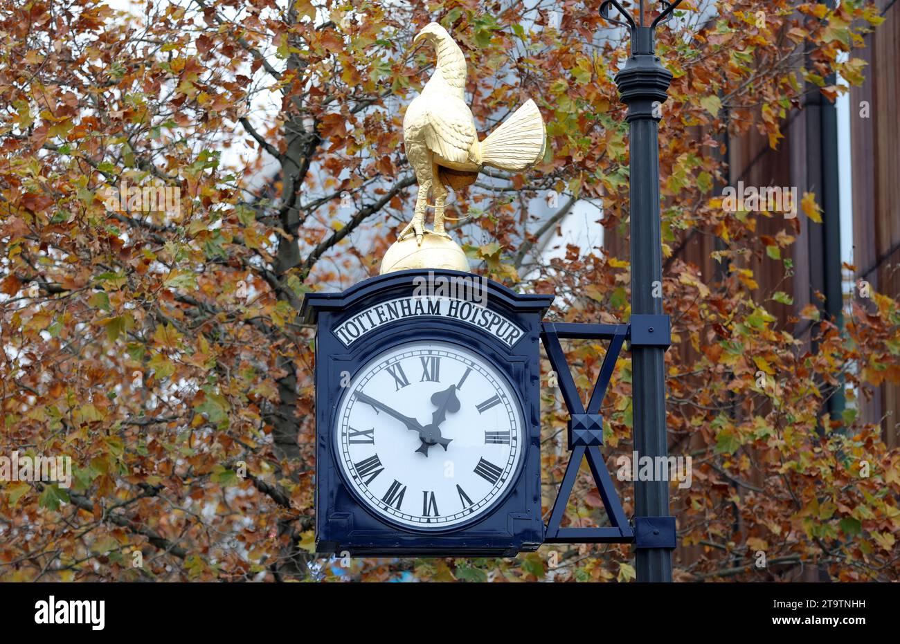 Tottenham hotspur cockerel hi-res stock photography and images - Alamy