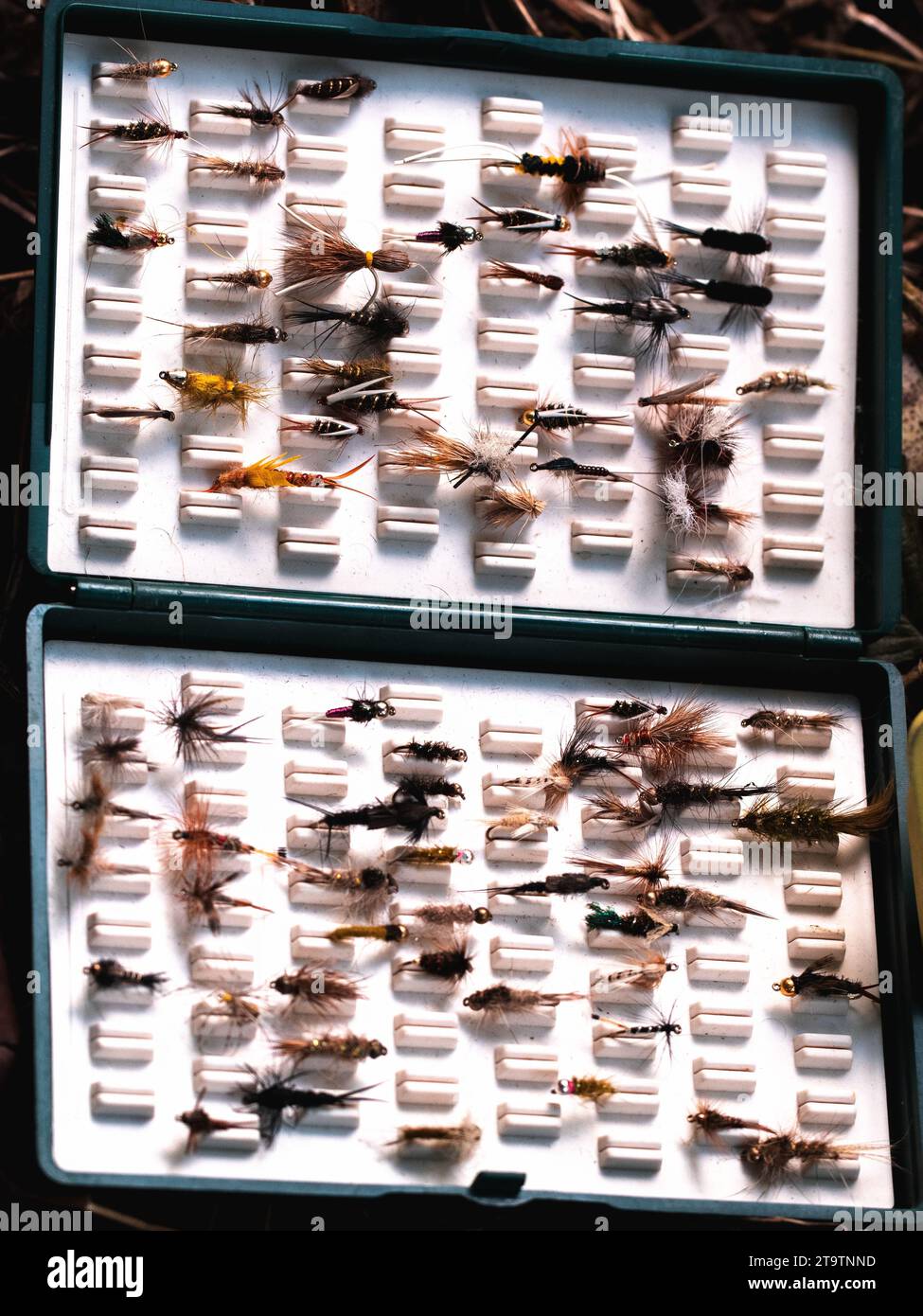 A selection of fishing insect hooks in a box Stock Photo - Alamy