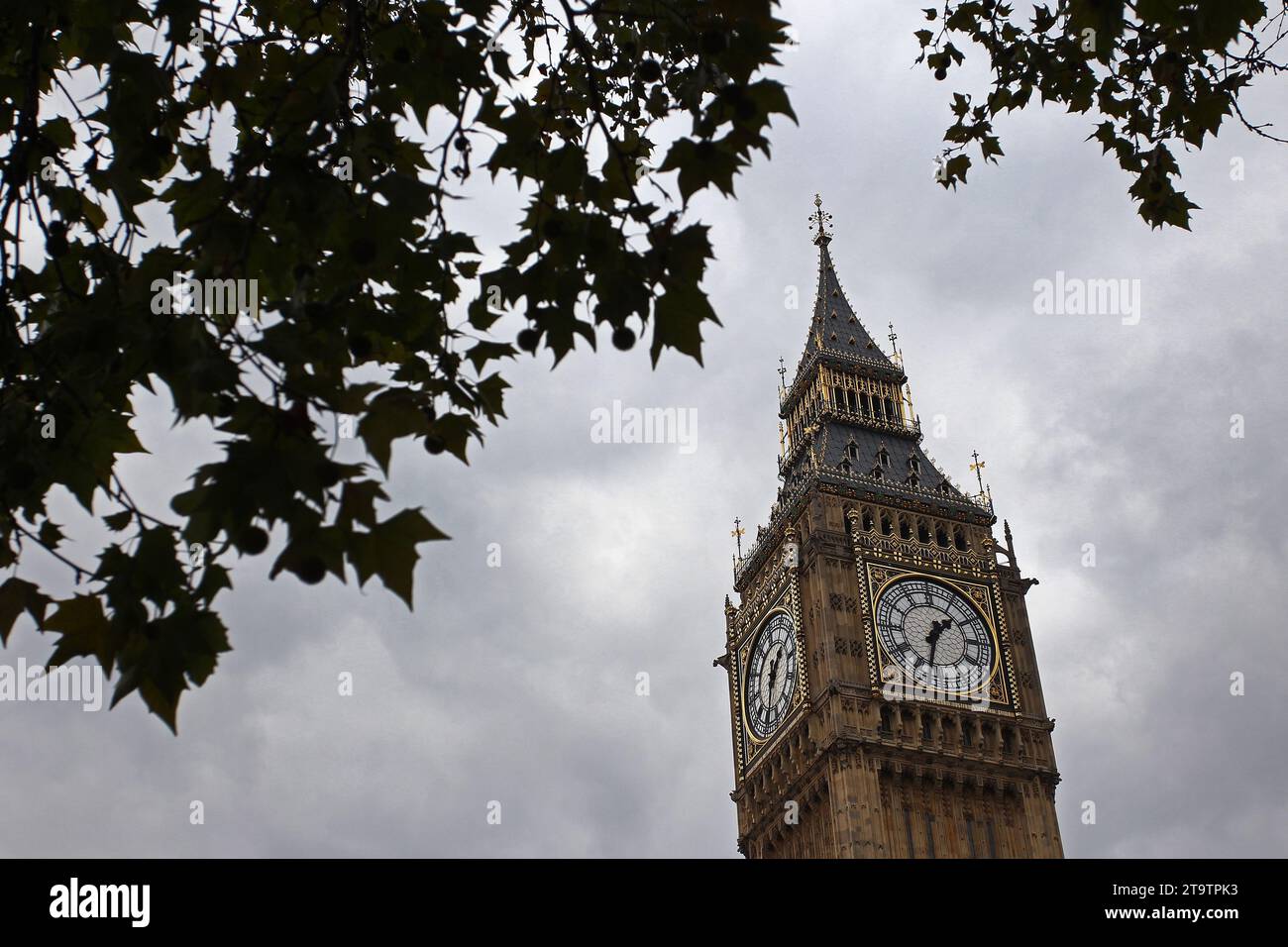 Big Ben and the Elizabeth Tower can be seen through the trees. Close-Up ...