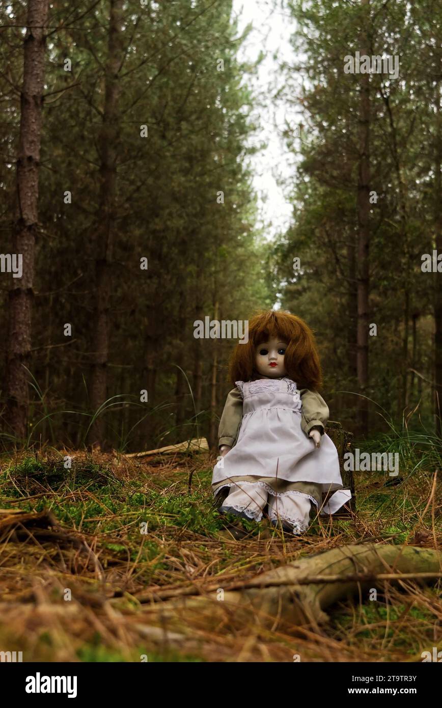 creepy 1 eyed doll sitting in the forest, horror thriller style Stock ...