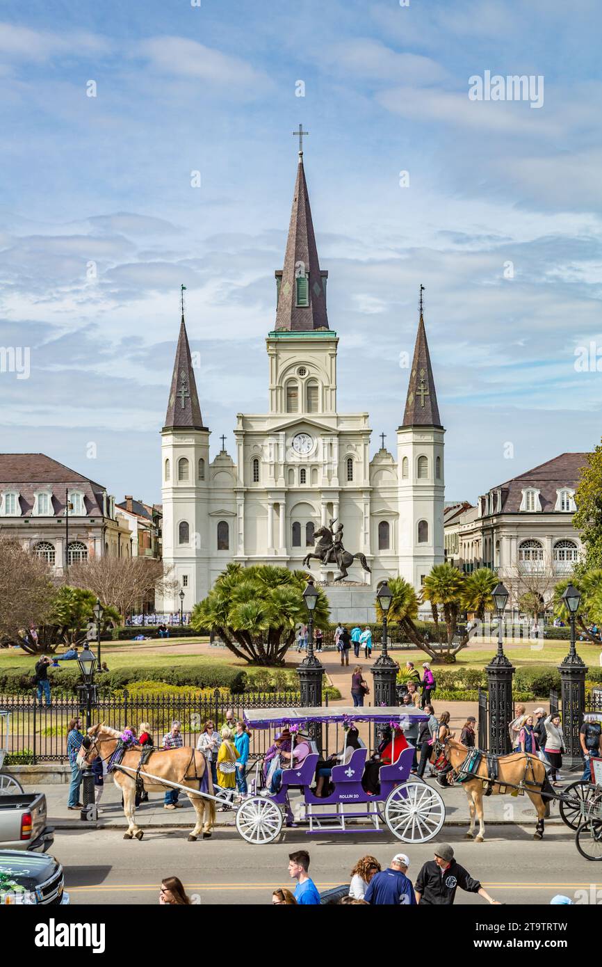 Horse and carriage vendors line up on Decatur Street in front of ...
