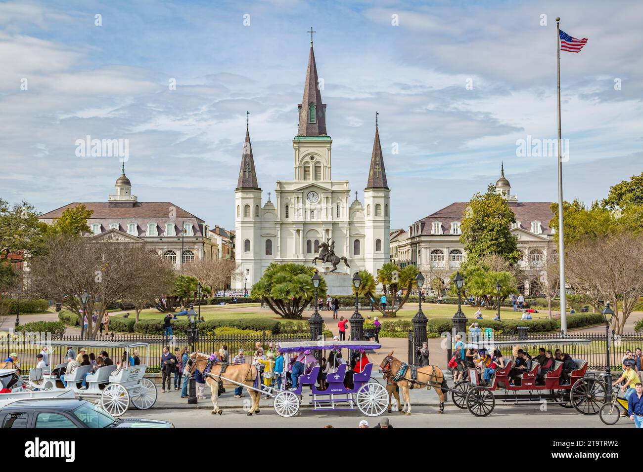 Horse and carriage vendors line up on Decatur Street in front of ...